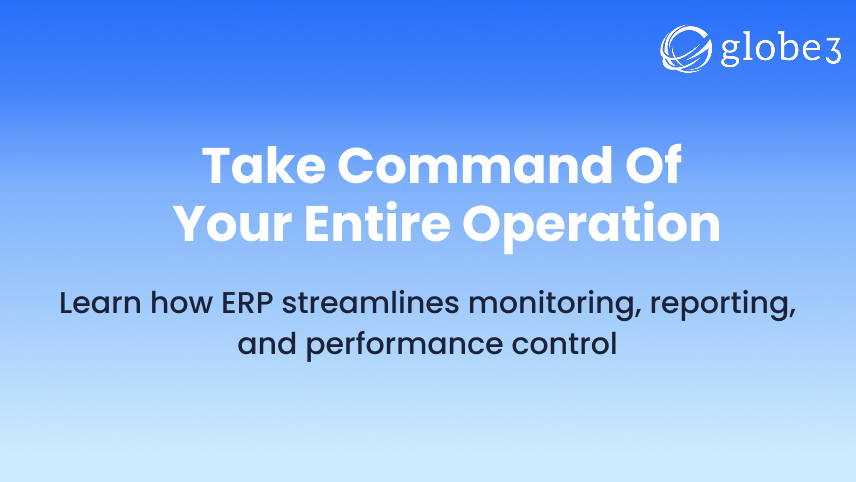 Enterprise Management Control in ERP Software Explained