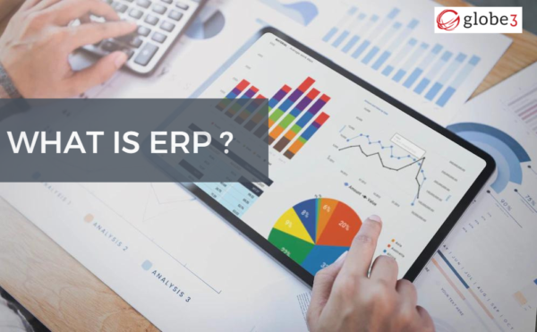 Enterprise Resource Planning Software Explained - Globe3 ERP